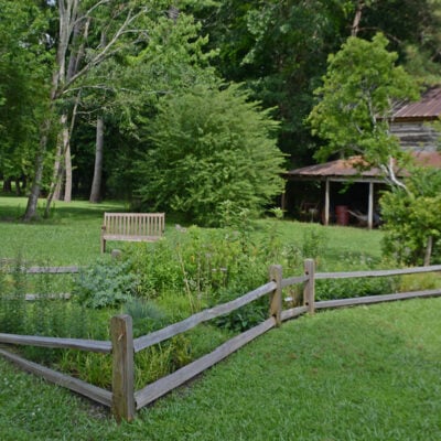 Cowan Museum of History and Science › North Carolina Science Trail