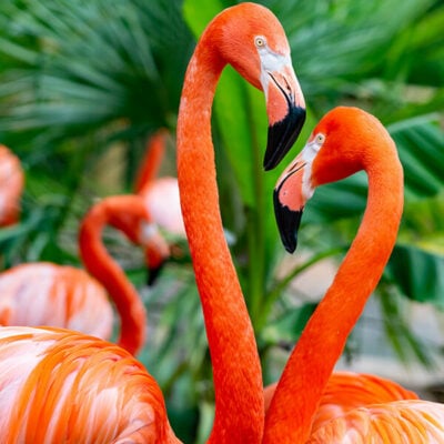 Greensboro Science Center › North Carolina Science Trail