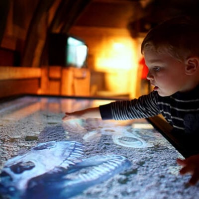 Greensboro Science Center › North Carolina Science Trail