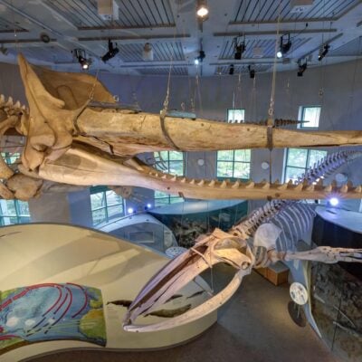 North Carolina Museum of Natural Sciences › North Carolina Science Trail