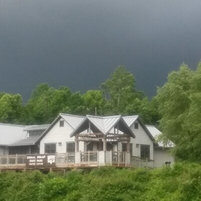 Dismal Swamp State Park › North Carolina Science Trail