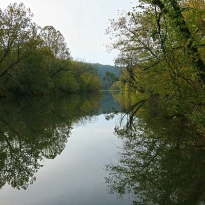 Mayo River State Park › North Carolina Science Trail