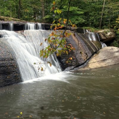 Mayo River State Park › North Carolina Science Trail