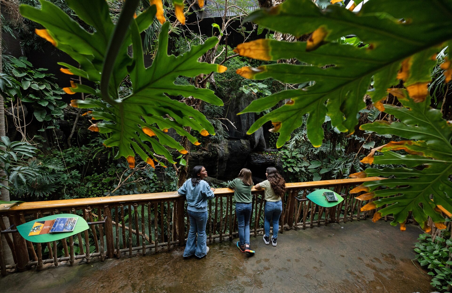Discovery Place Science : World Rainforest Day Celebration › North ...