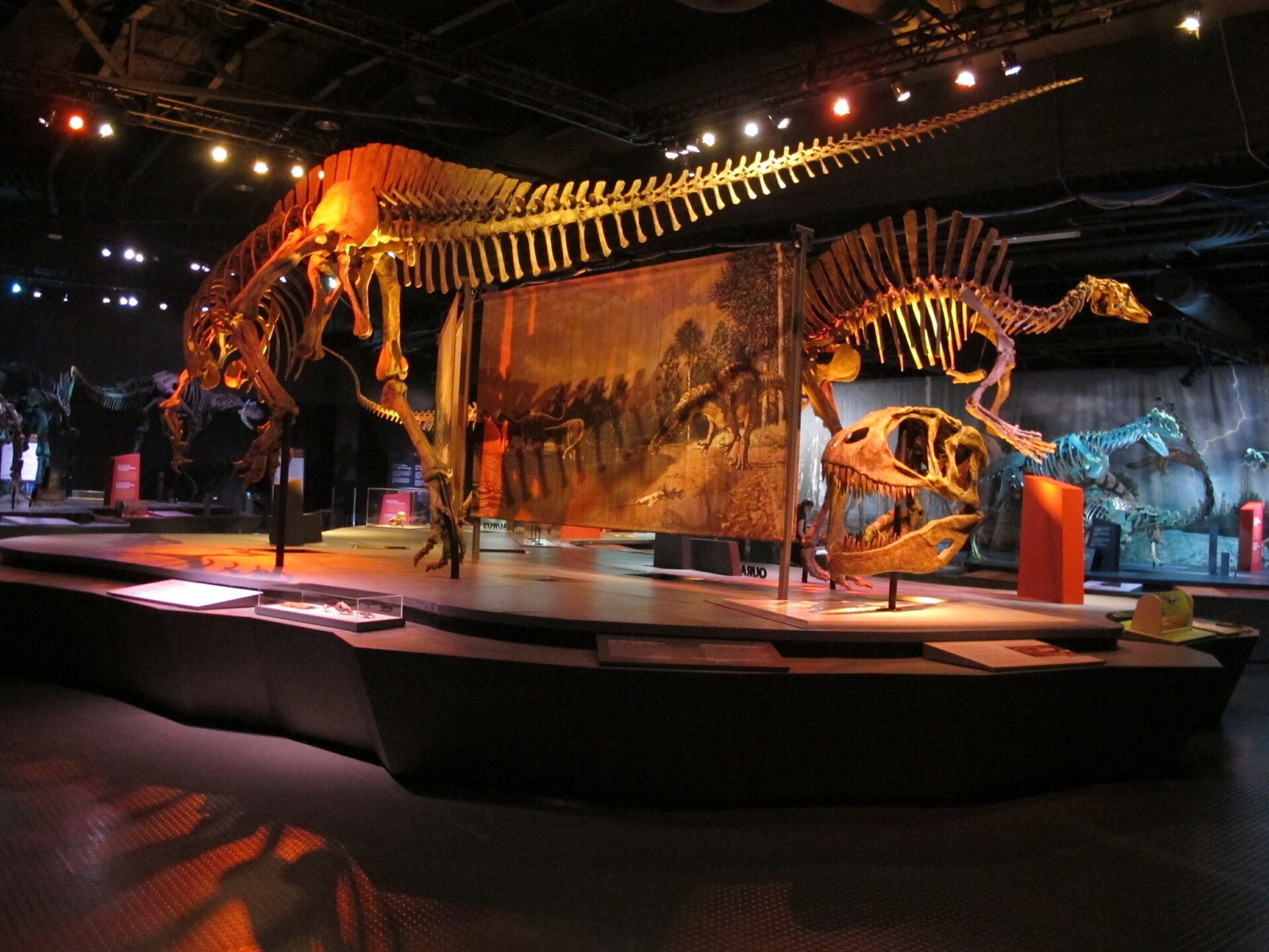 “Ultimate Dinosaurs” at Discovery Place Science › North Carolina ...